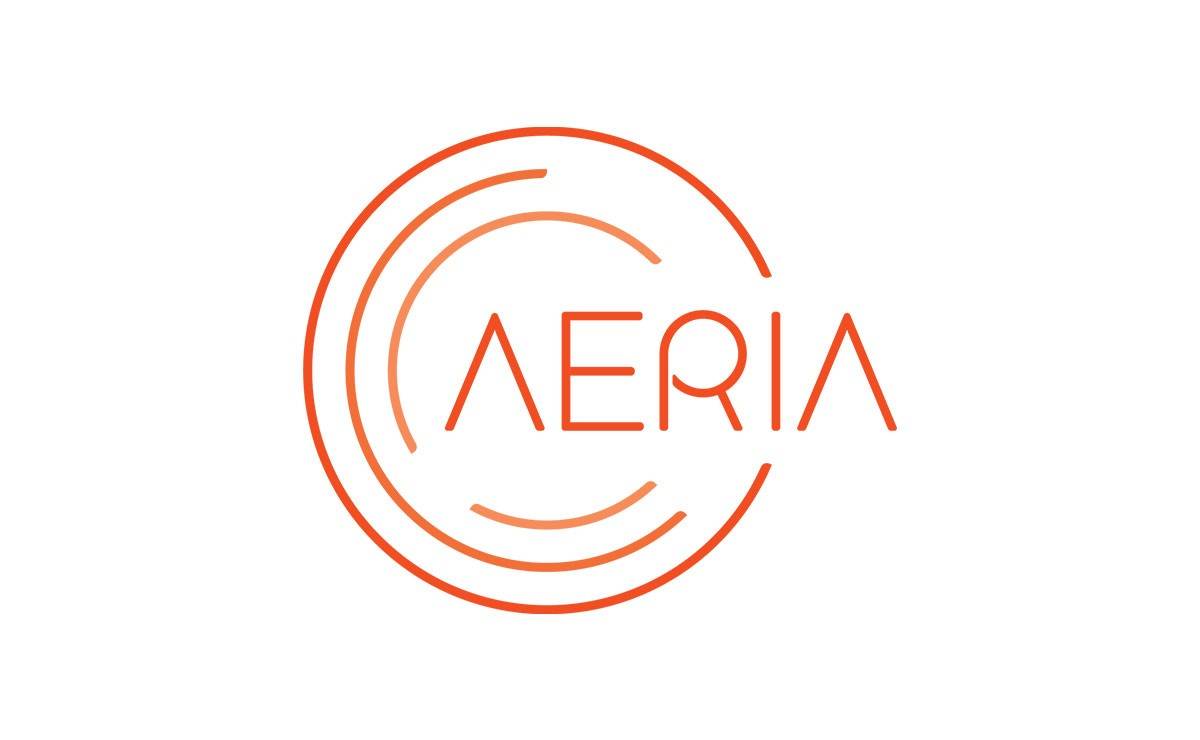 AERIA - Aerial Art Dance - Showcase - Web Design Company Hong Kong ...